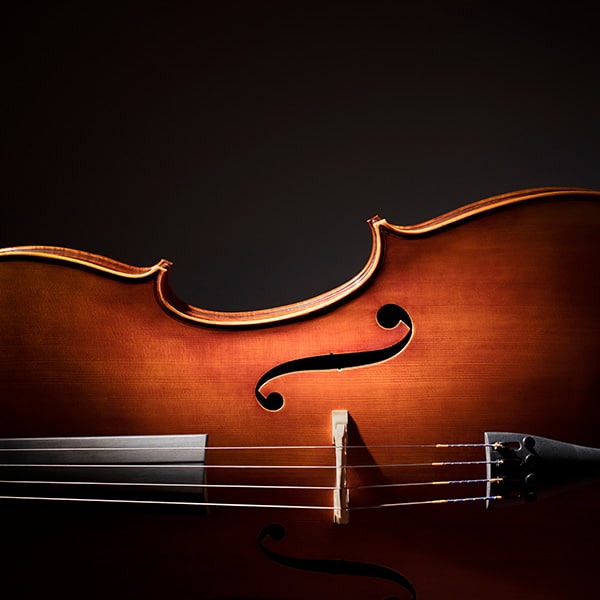 Wood for musical instruments – Planks panels for violins cellos guitars ...